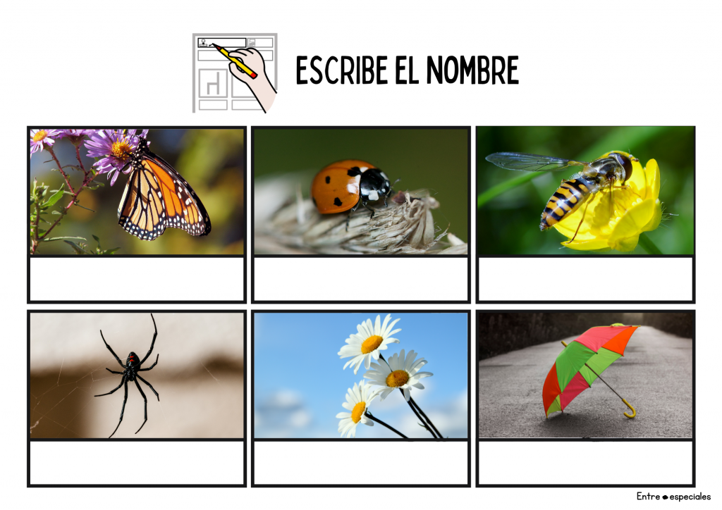 CUADERNO: LA PRIMAVERA