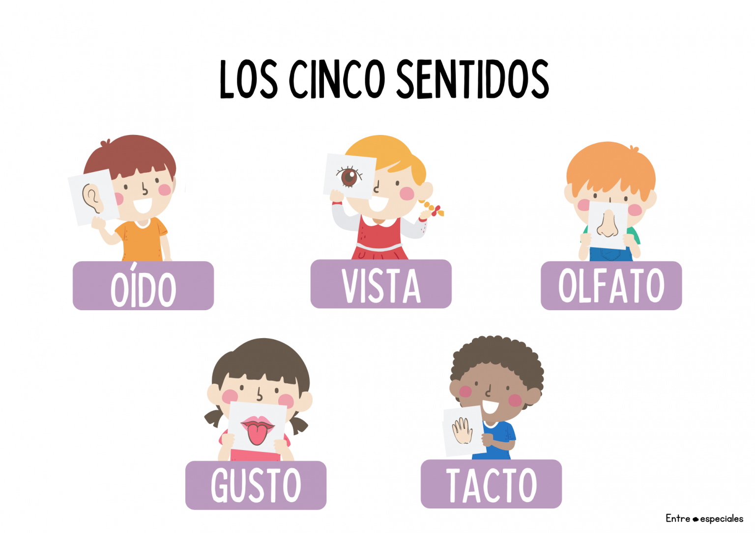 EL CUERPO Y LOS SENTIDOS